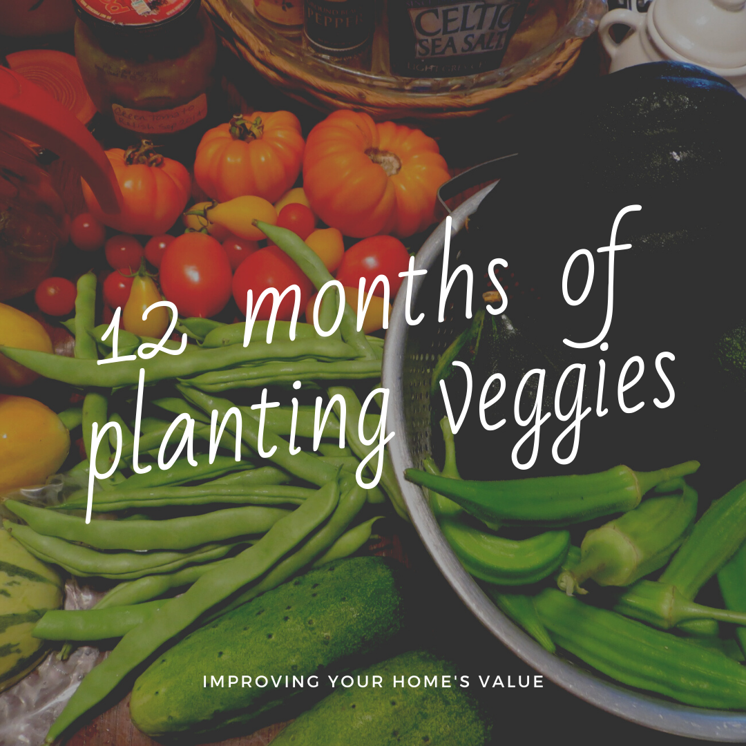 Year long veggie patch guide - Frank Gordon Estate Agents